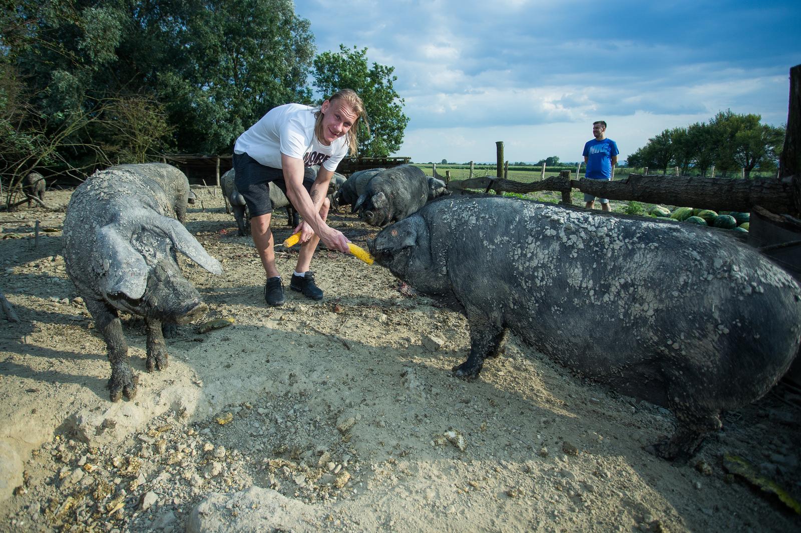Meso gurmanima omiljene fajferice zaštićeno u EU, a farmeri i partneri ...